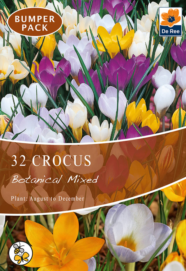 Crocus Botanical Mixed Bulbs (15/32 Bulbs) Pre order w/c 25/08 - One ...